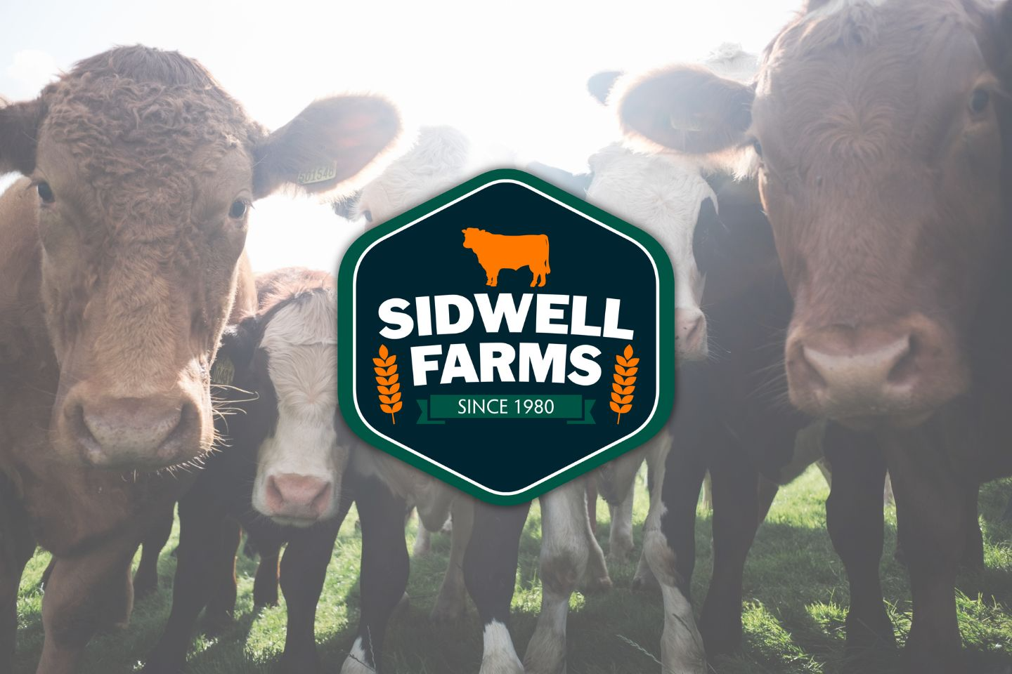 Featured Made in Oklahoma Products - Sidwell Distribution
